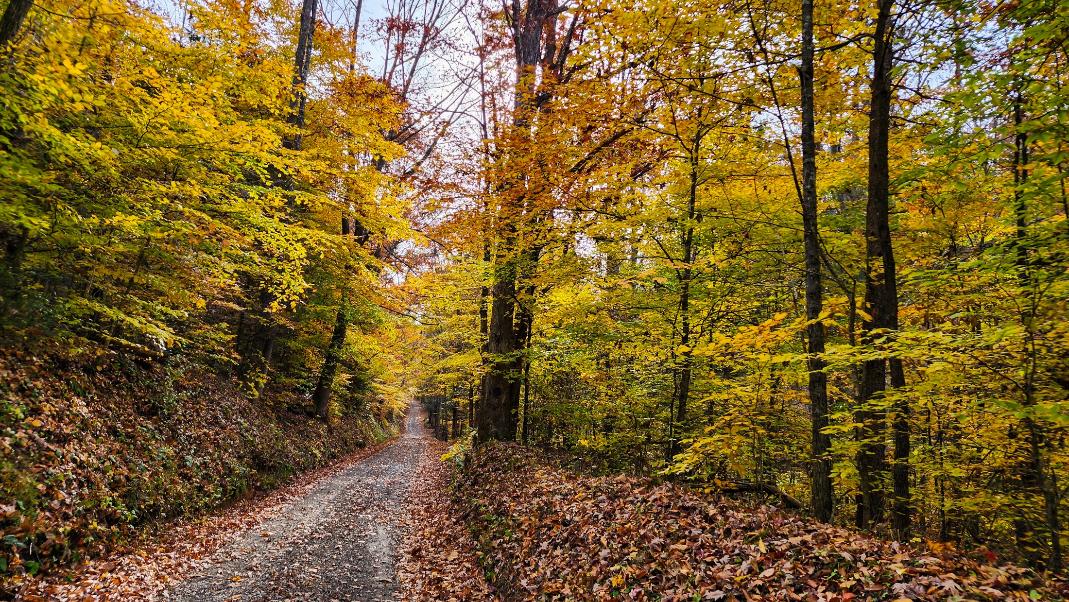 Panther Mountain Road, West Virginia | GPS Map, Photos & Reviews