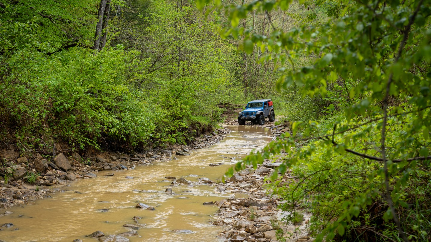 Fork In The Road Woods