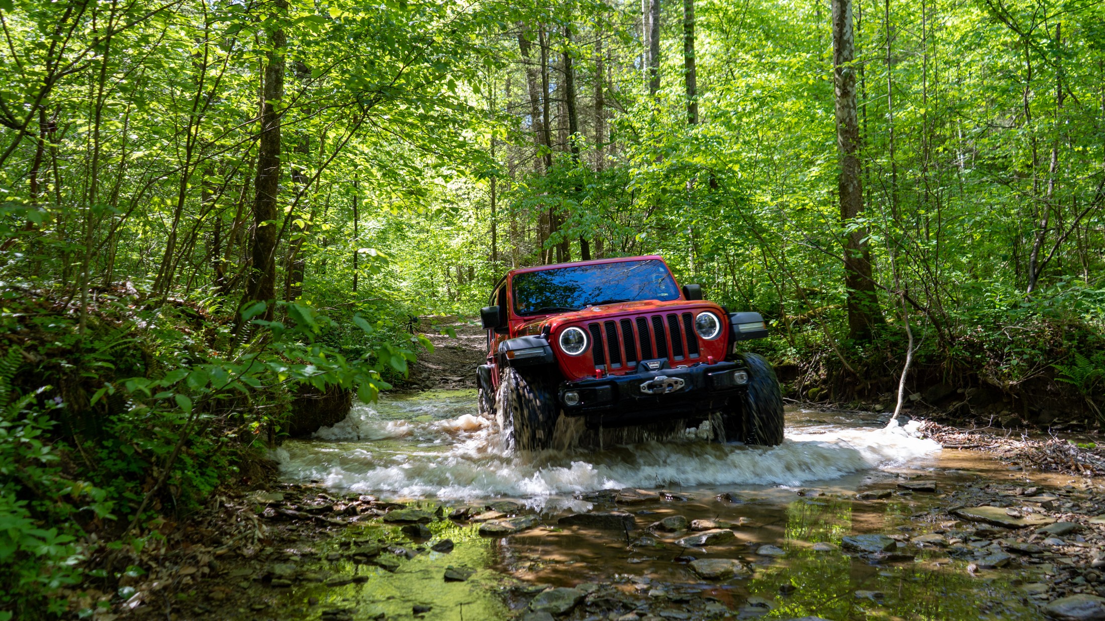 Brushy, Kentucky | Offroad Trail Guide & Map