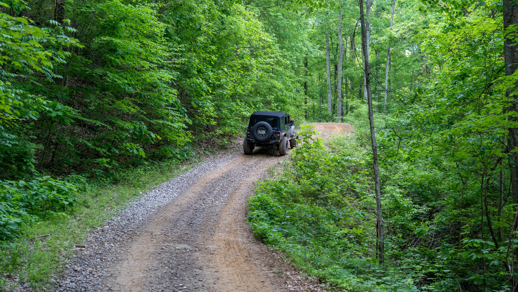 93A - Access, Georgia | GPS Map, Photos & Reviews