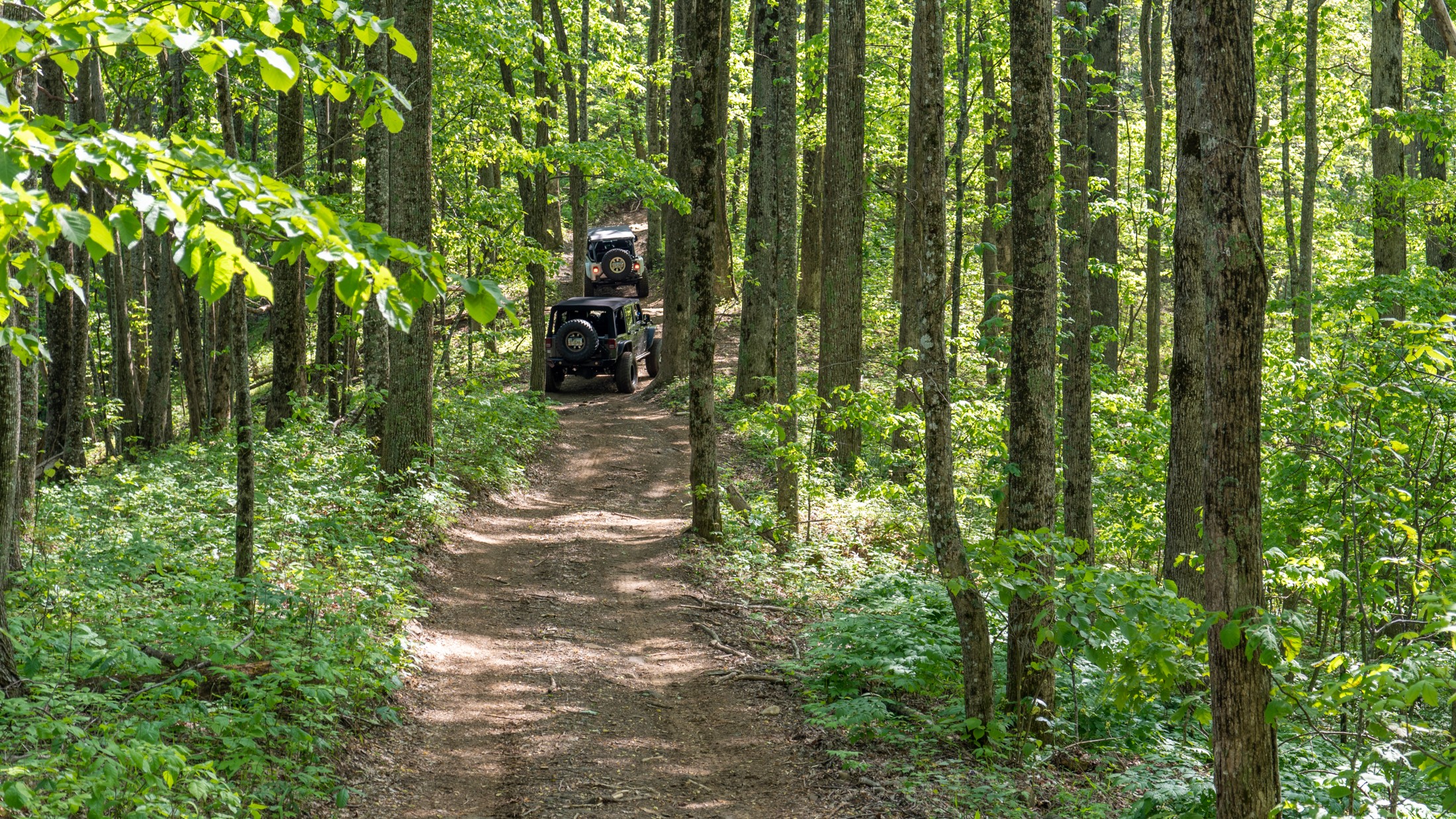93C - Nicholson Gap, Georgia | GPS Map, Photos & Reviews