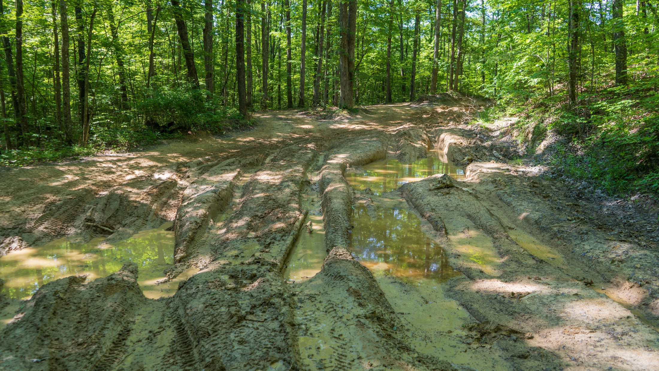 Rader Ridge Road, Kentucky | GPS Map, Photos & Reviews