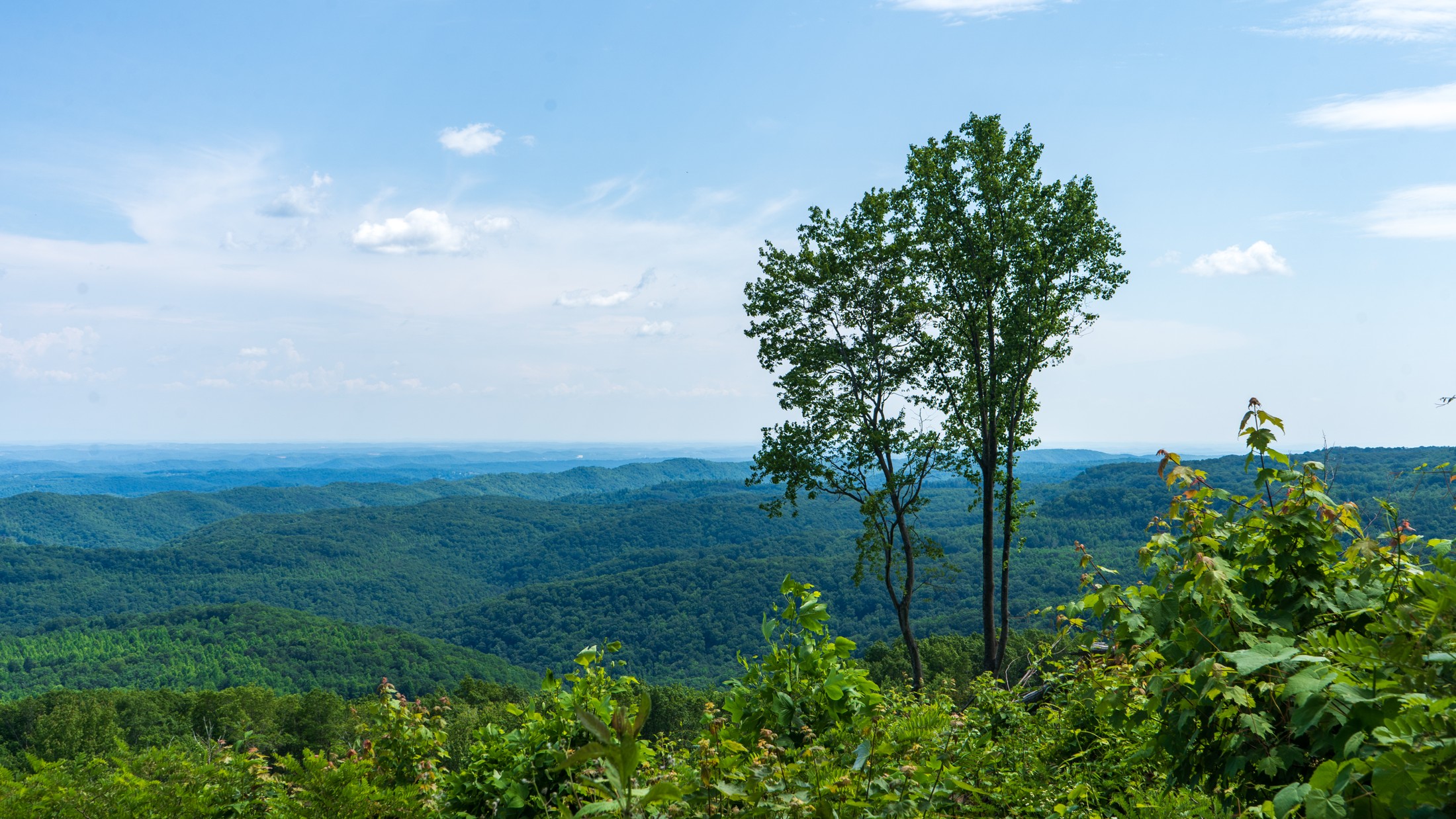 Windrock G50, Tennessee | GPS Map, Photos & Reviews