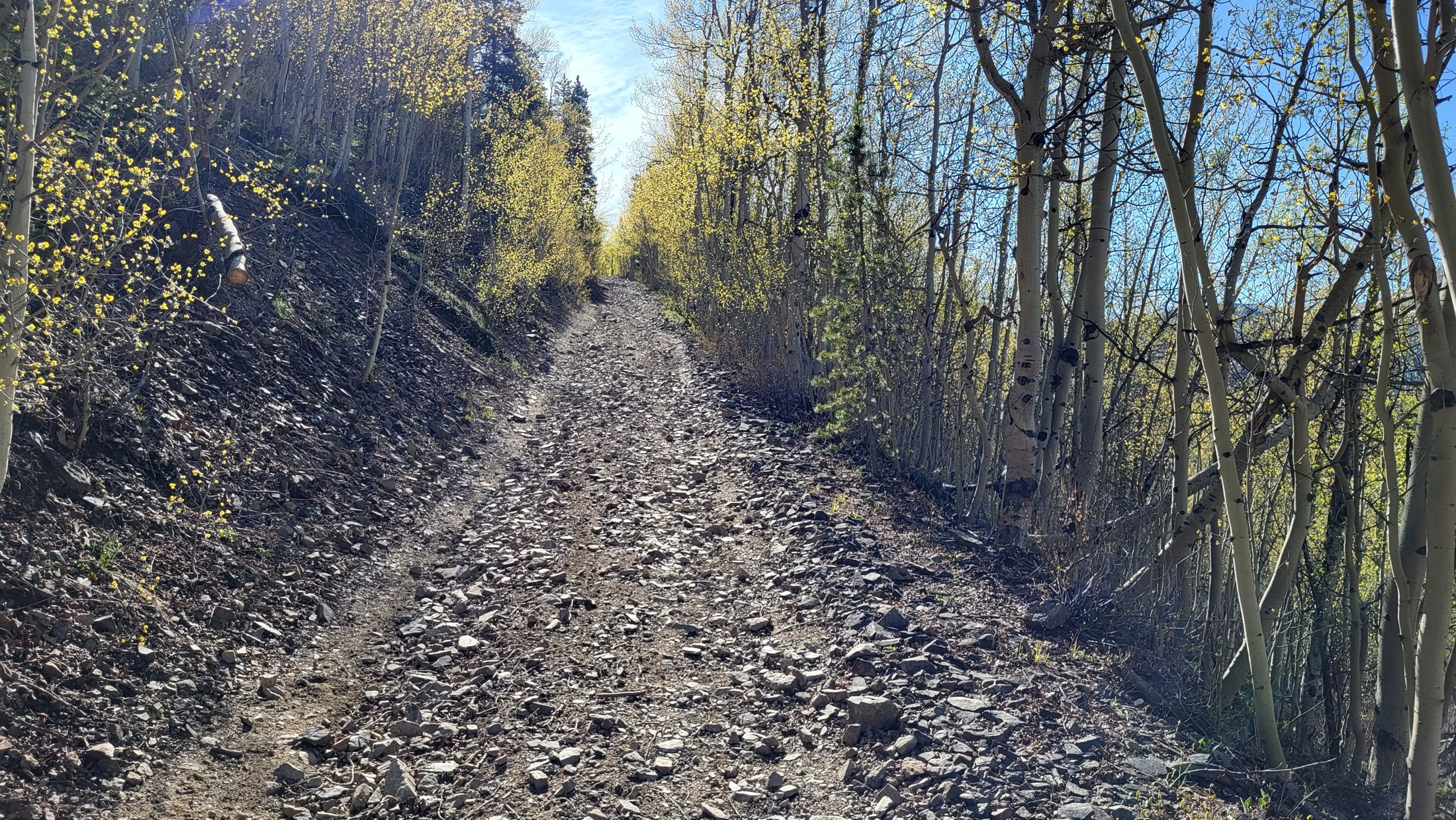 Humbug Hill/French Gulch Connector, Colorado | GPS Map, Photos & Reviews