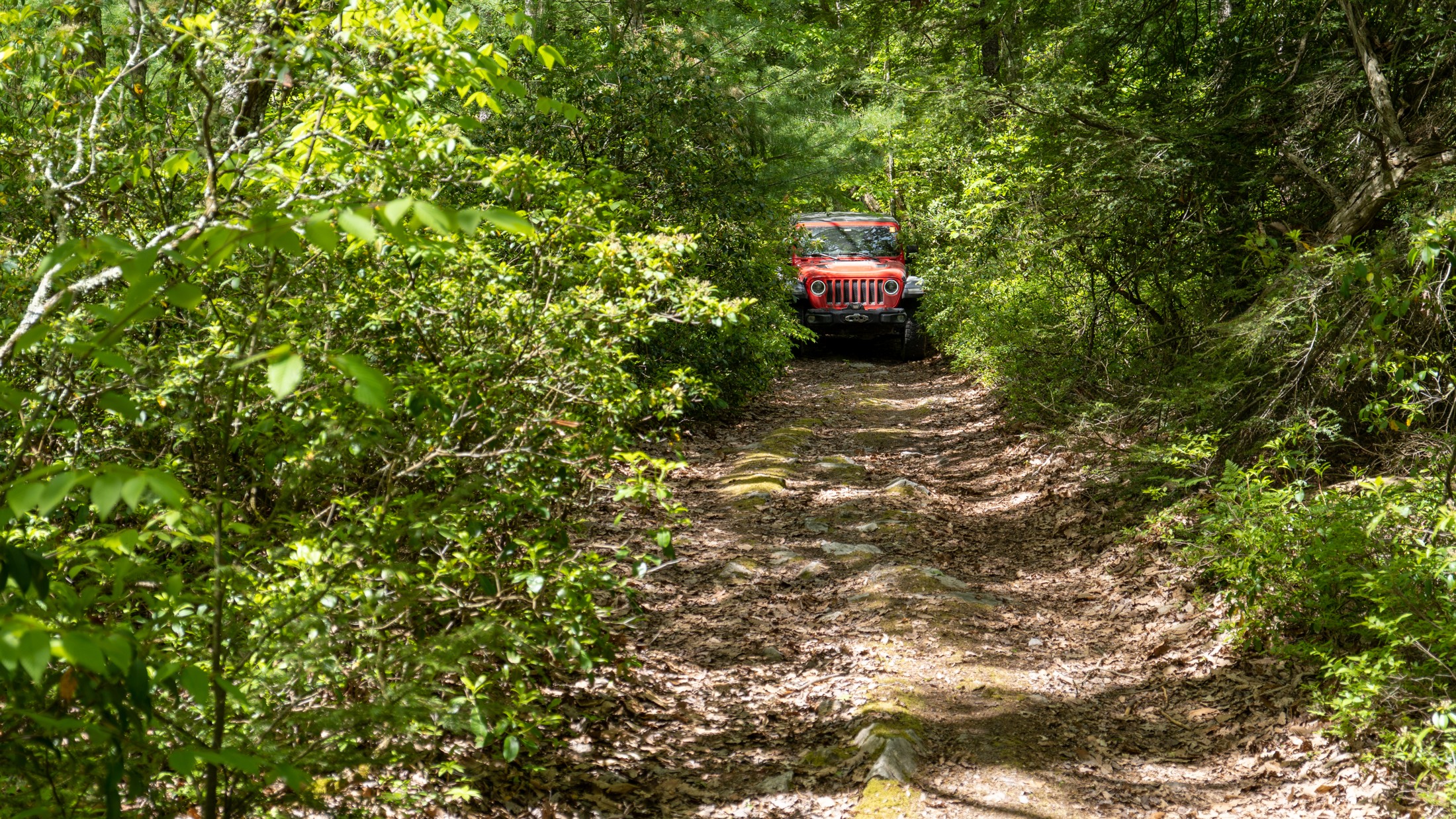 High Top Trail, Pennsylvania | GPS Map, Photos & Reviews