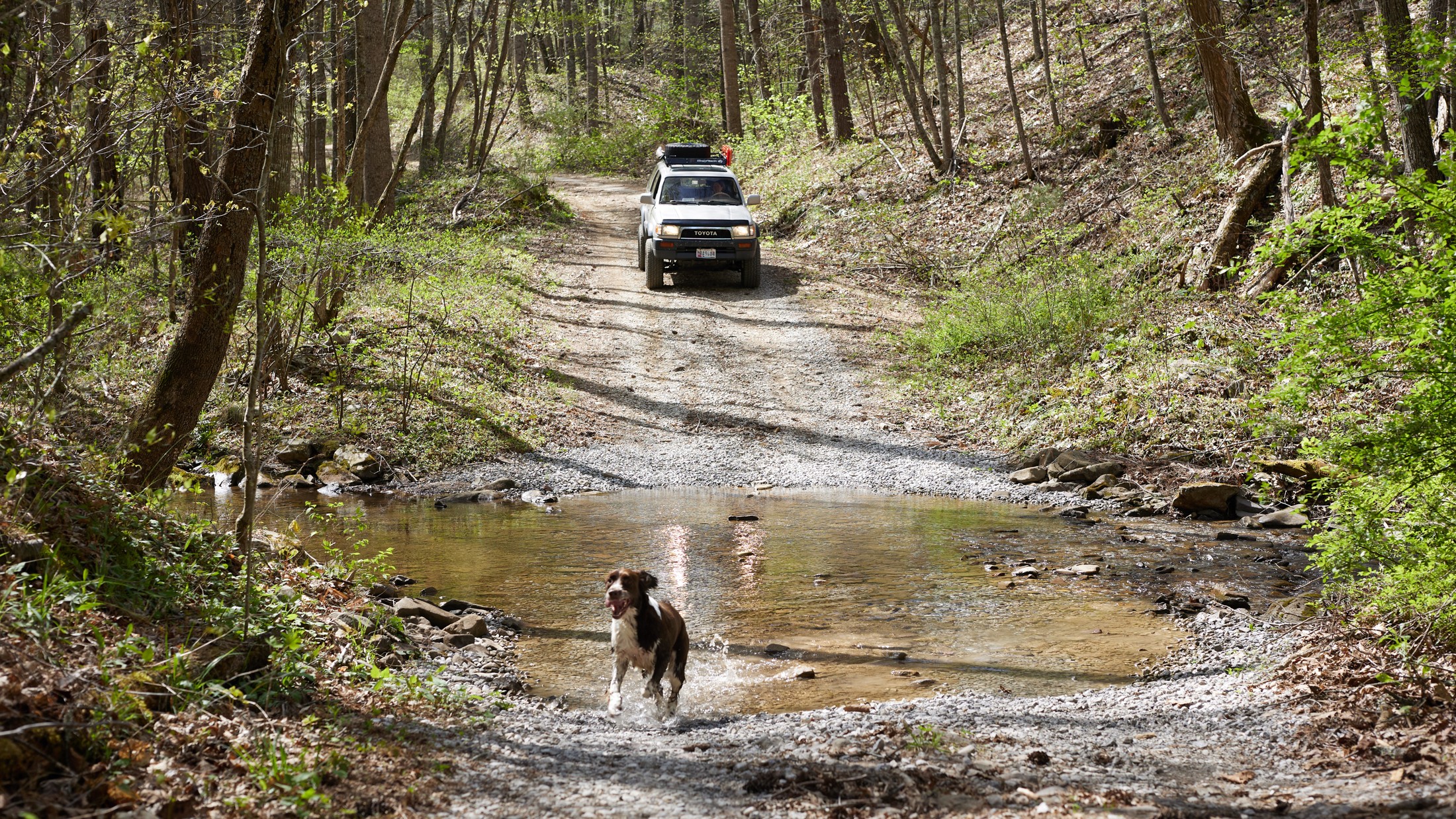 West Side Road, Virginia | Offroad Trail Guide & Map