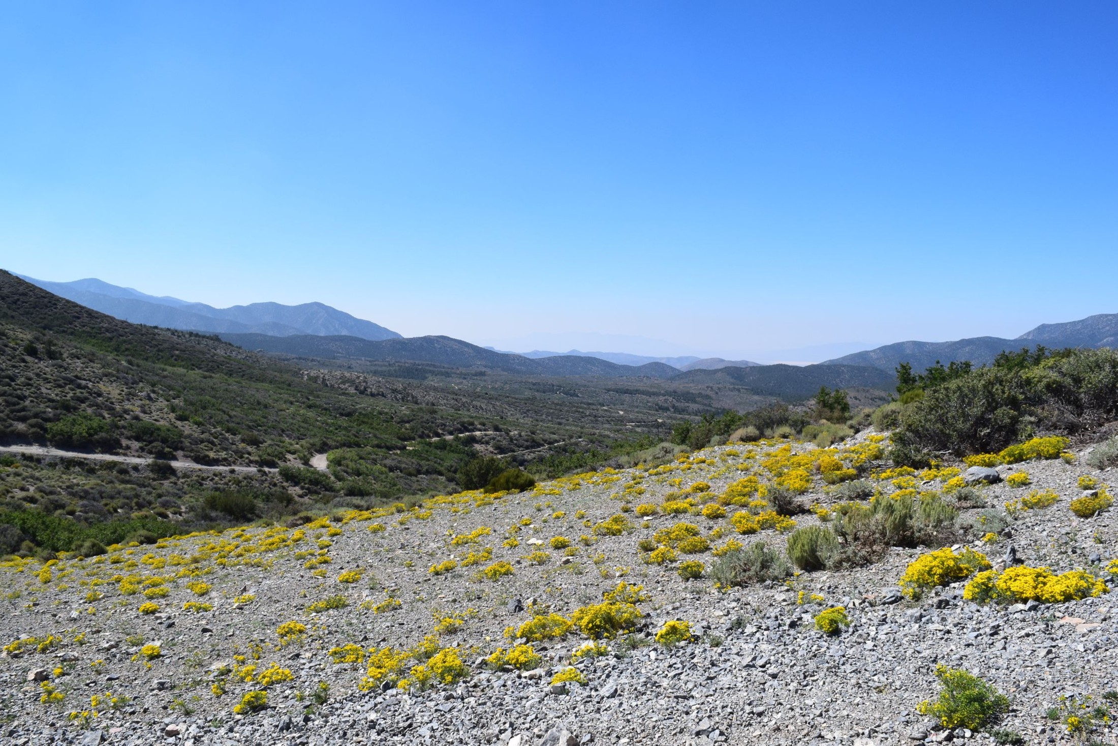 Wheeler Pass, Nevada | GPS Map, Photos & Reviews